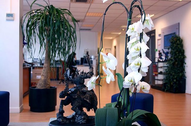 Inside of Blizzard’s Office » Design You Trust — Design Daily Since 2007