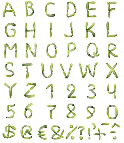 cucumber font alphabet » Design You Trust — Design Daily Since 2007
