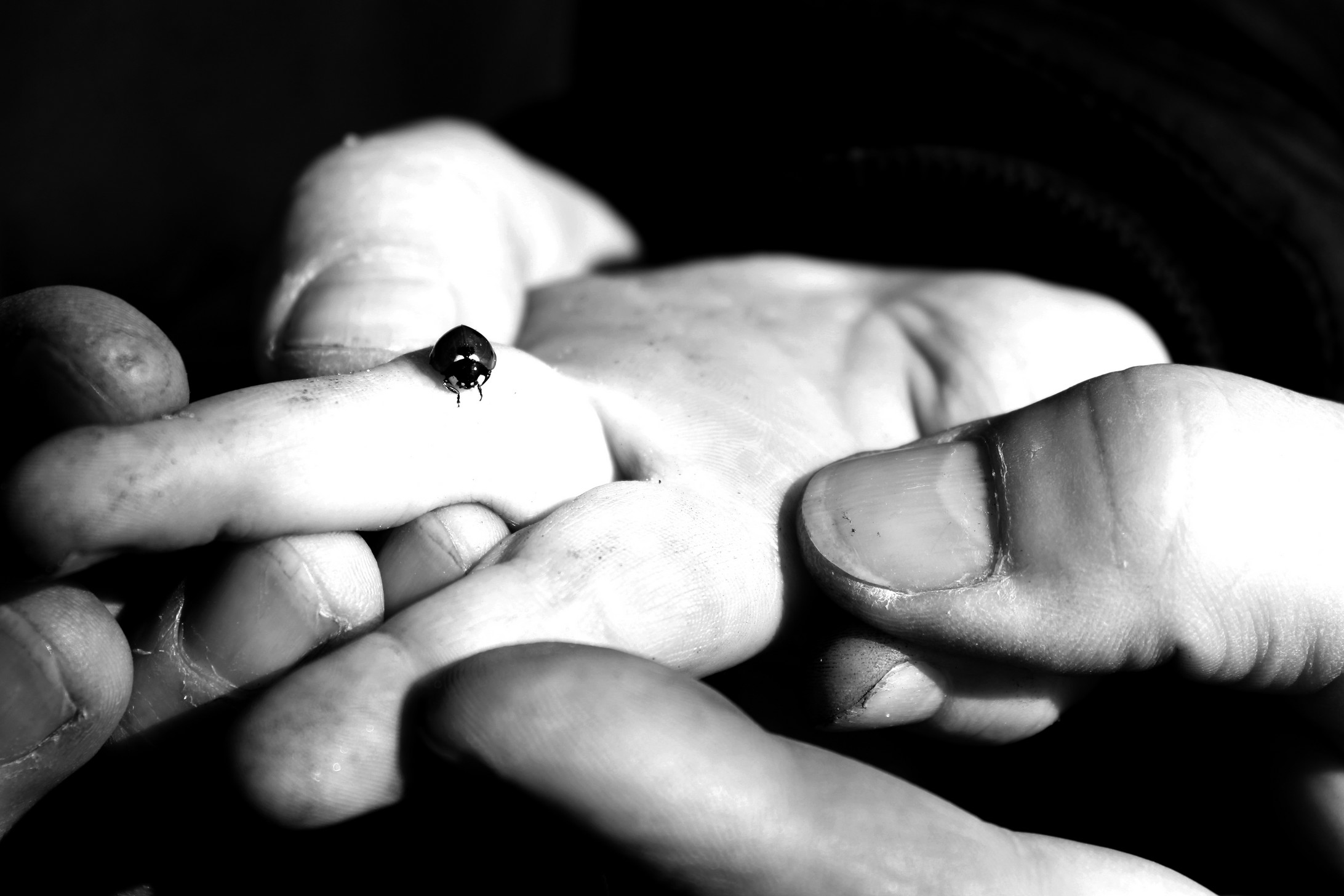 little creature in small hands » Design You Trust — Design Daily Since 2007