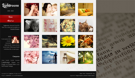 lightroom-blogspot-template » Design You Trust — Design Daily Since 2007
