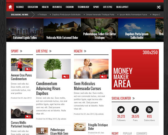 12.magazine style wordpress themes » Design You Trust — Design Daily ...