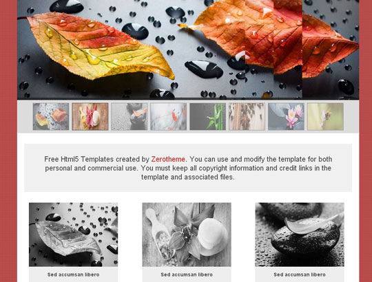 42 Free Html5 Responsive Website Templates Design You Trust Design