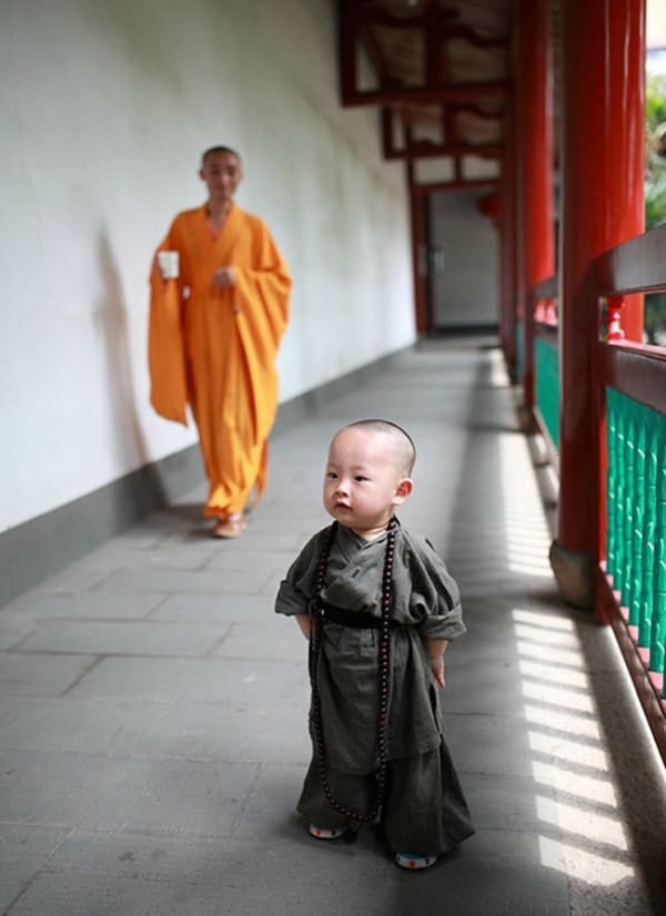 Cute “Little Monk” in SE China Goes Viral Online » Design You Trust ...