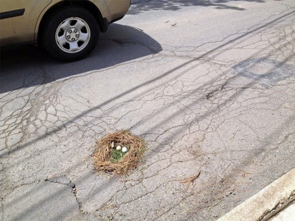 Pothole Art » Design You Trust — Design Daily Since 2007