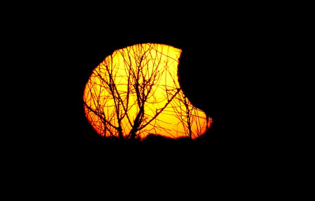 Watching the Partial Solar Eclipse » Design You Trust — Design Daily ...