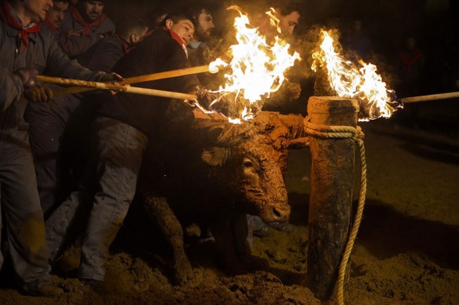 “Toro de Jubilo” – Fire Bull Festival in Medinaceli, Spain » Design You ...