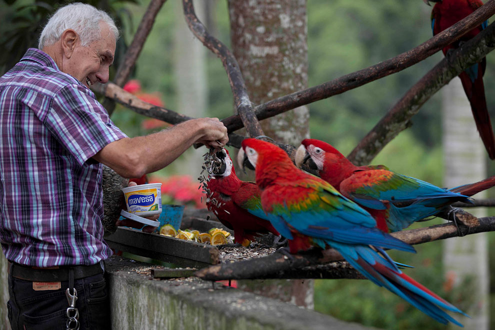 Venezuela’s Beloved Macaws » Design You Trust — Design Daily Since 2007