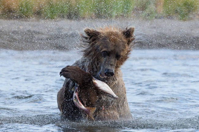 2014 National Geographic Photo Contest, Week 9, Part 4 » Design You ...