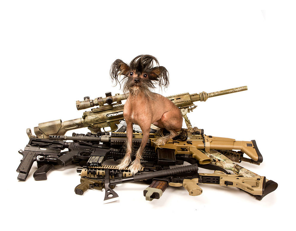 14 » Design You Trust — Design Daily Since 2007