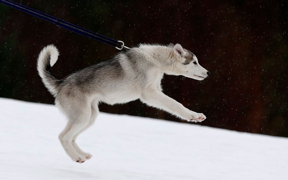 15 » Design You Trust — Design Daily Since 2007