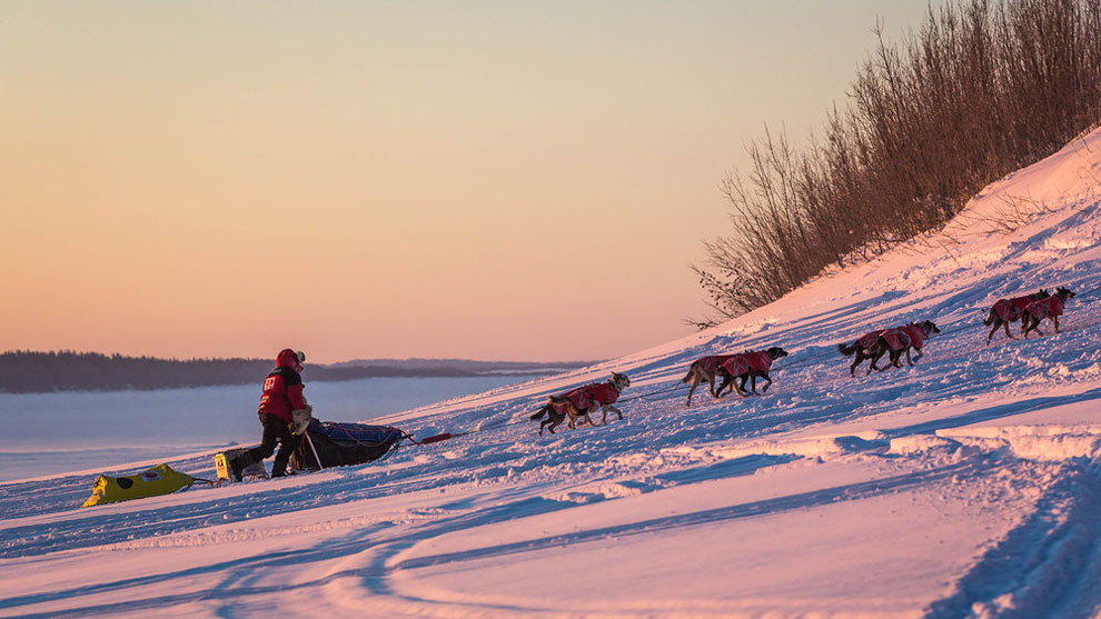 Iditarod Trail Sled Dog Race In Alaska, Part 2 » Design You Trust ...