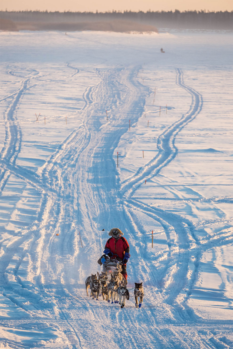 Iditarod Trail Sled Dog Race In Alaska, Part 2 » Design You Trust ...