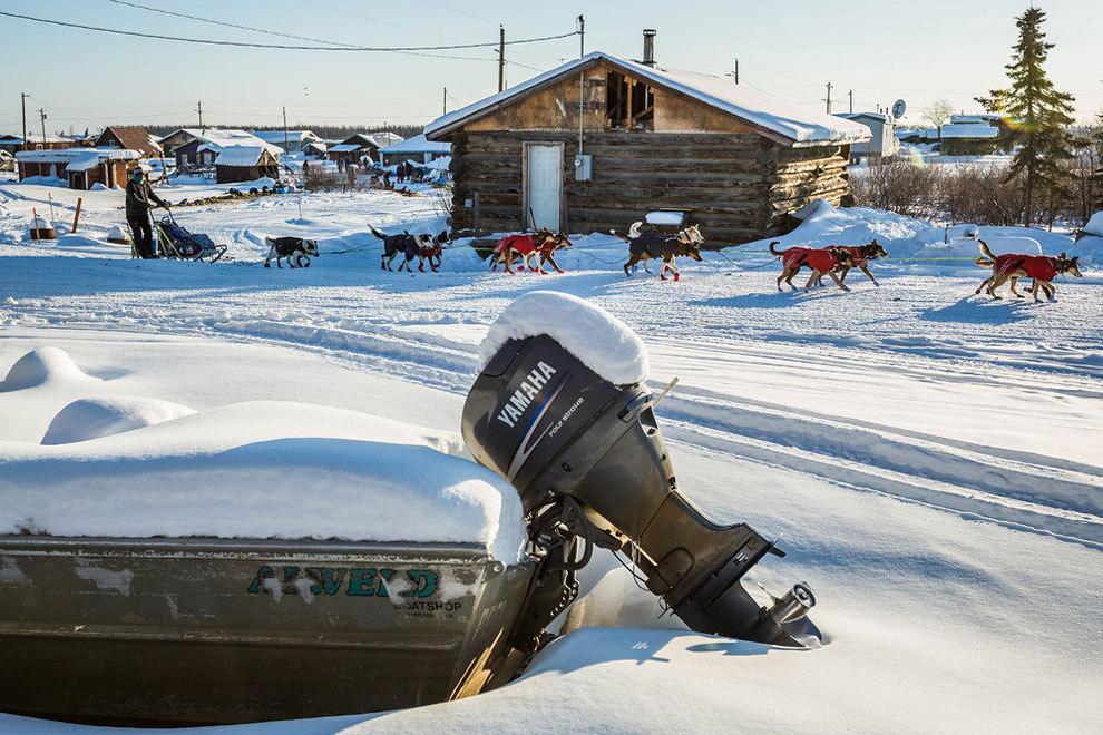 Iditarod Trail Sled Dog Race In Alaska, Part 2 » Design You Trust ...