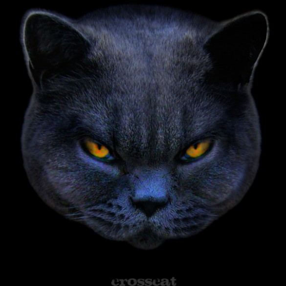 Cross Cat T-shirt Design design » Design You Trust — Design Daily Since ...