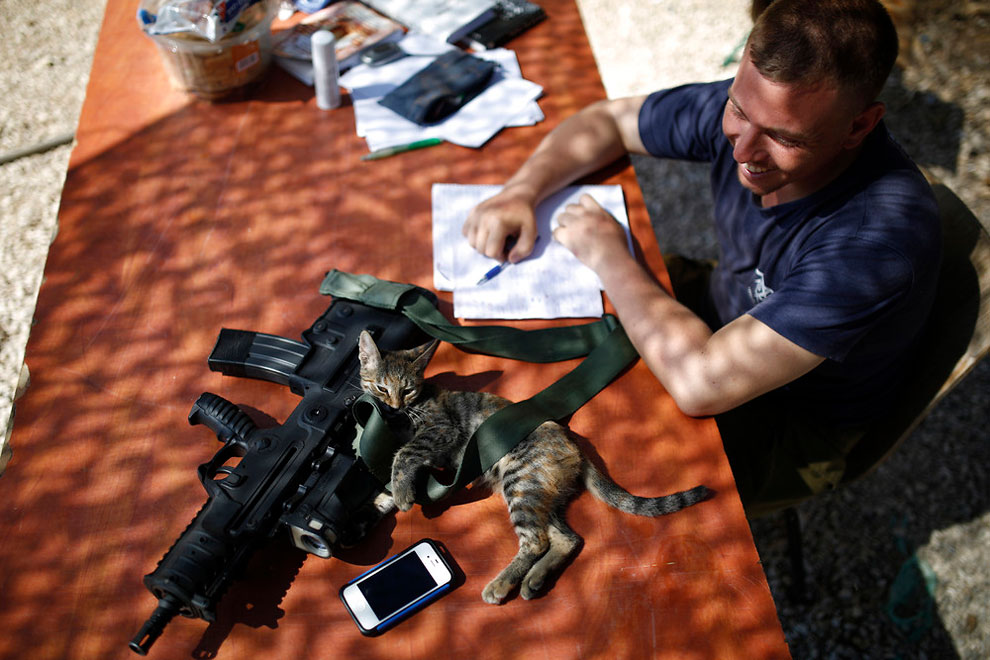 7 » Design You Trust — Design Daily Since 2007