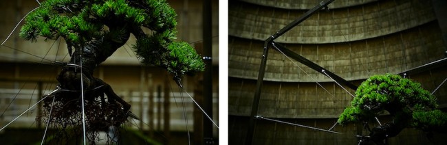 A Suspended Bonsai Installed Inside an Abandoned Power Plant » Design ...