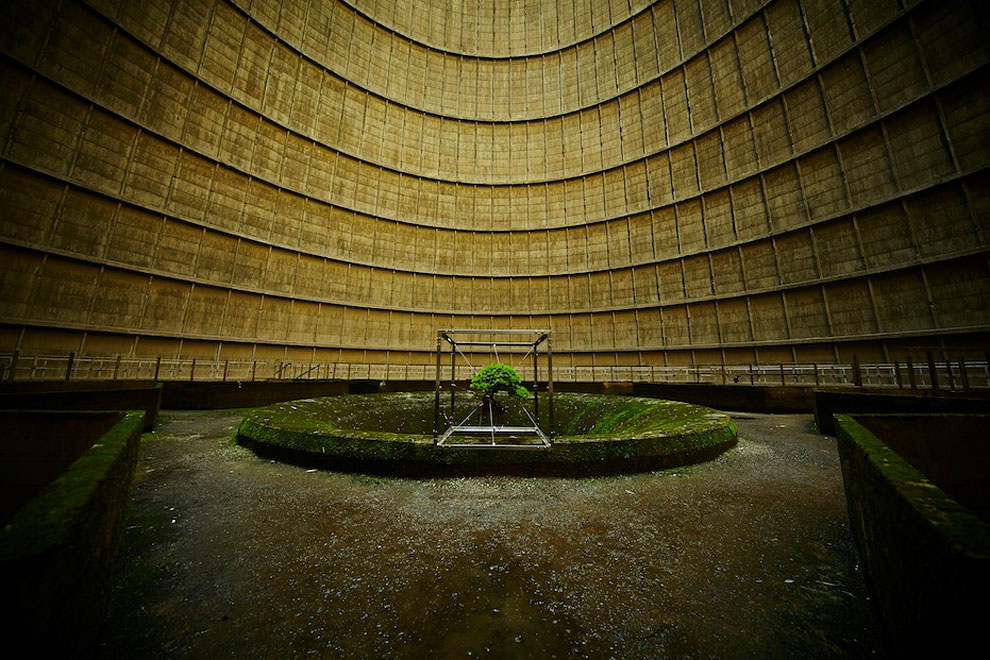 A Suspended Bonsai Installed Inside an Abandoned Power Plant » Design ...