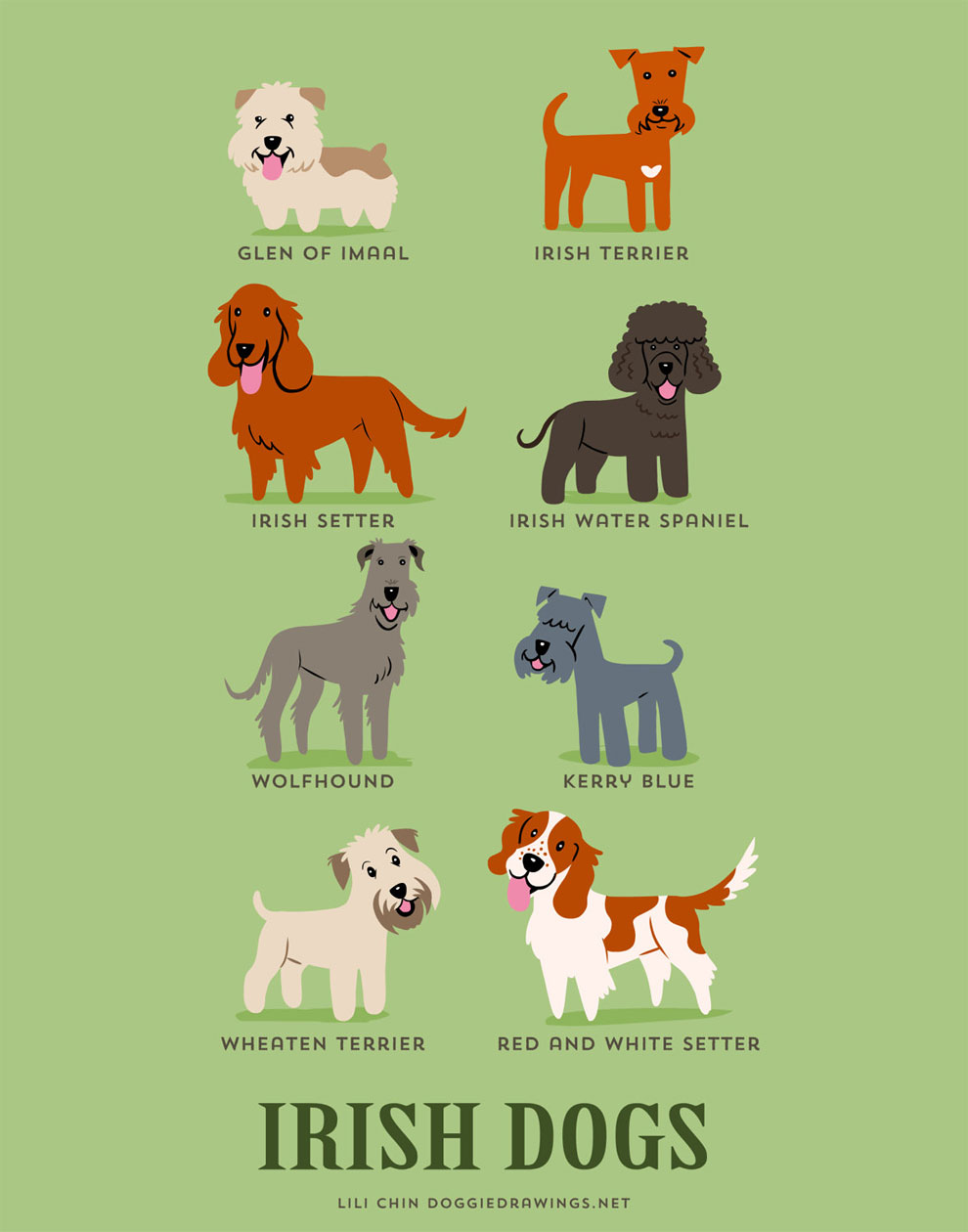 An Adorable Guide To The Dogs Of The World By Geographic Origin By ...