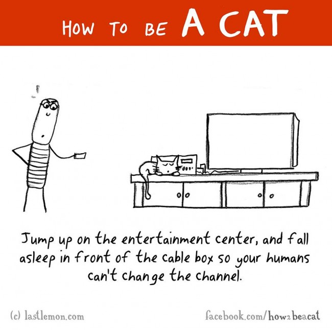How To Be A Cat For Dummies » Design You Trust — Design Daily Since 2007