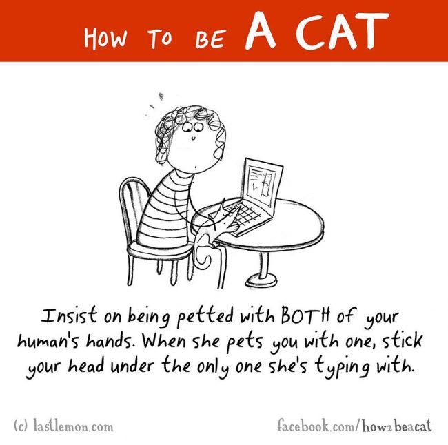 How To Be A Cat For Dummies » Design You Trust — Design Daily Since 2007