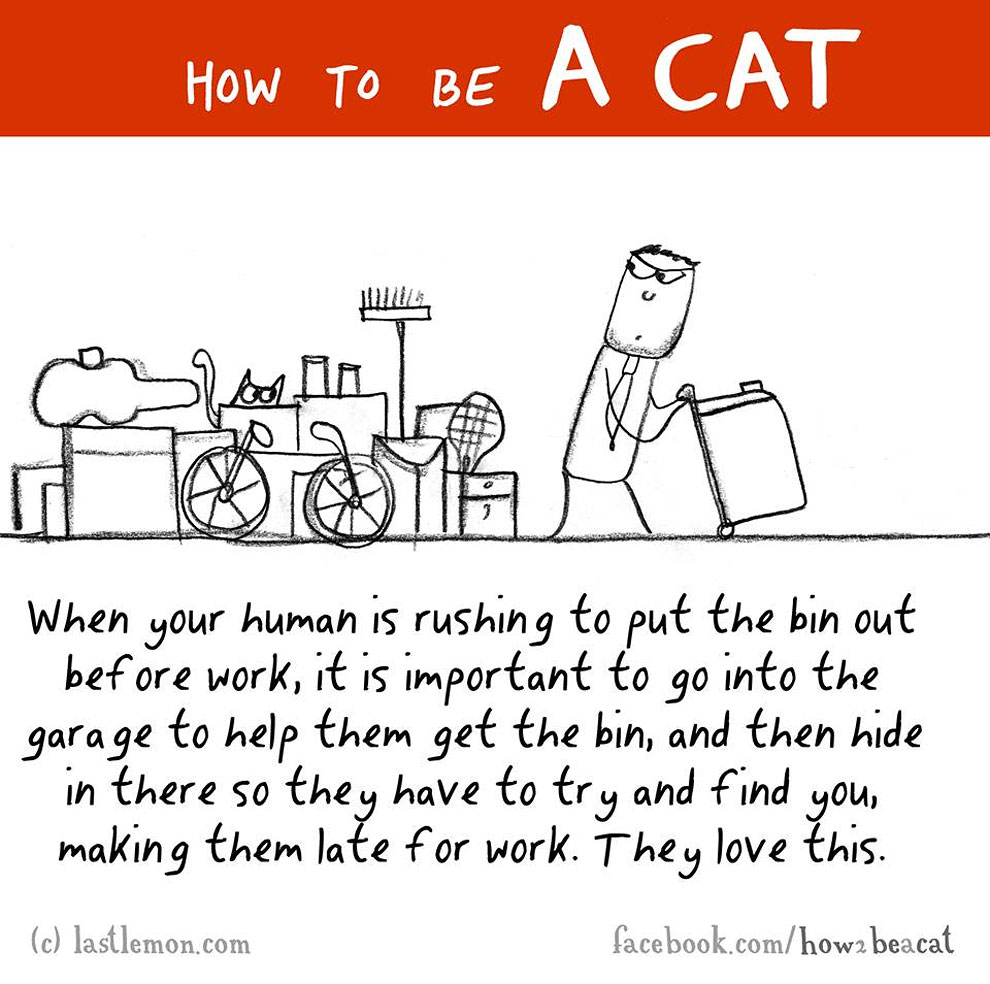 How To Be A Cat For Dummies » Design You Trust — Design Daily Since 2007