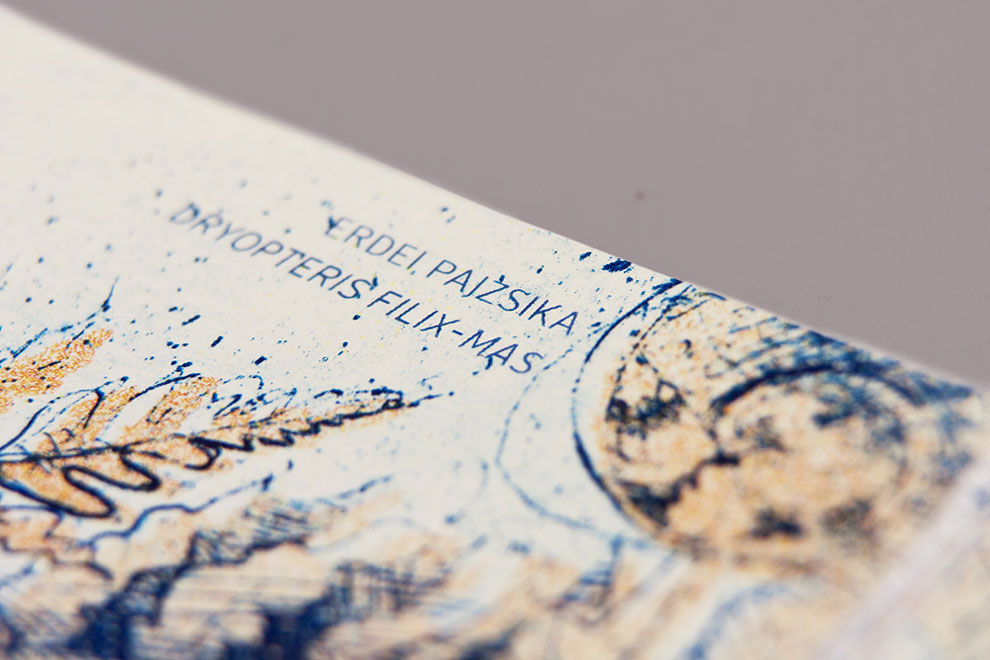 Hungarian Graphic Design Student Barbara Bernat Redesigns the Euro ...