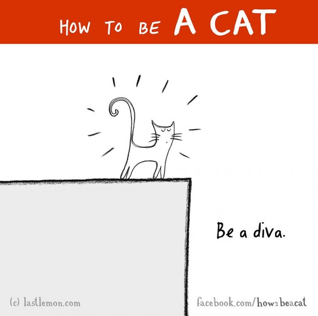 How To Be A Cat For Dummies » Design You Trust — Design Daily Since 2007