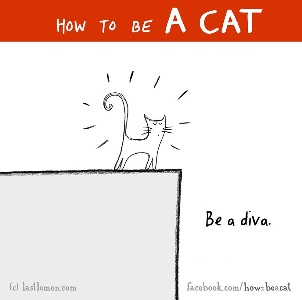 How To Be A Cat For Dummies » Design You Trust — Design Daily Since 2007