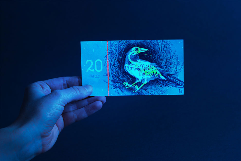 Hungarian Graphic Design Student Barbara Bernat Redesigns the Euro ...