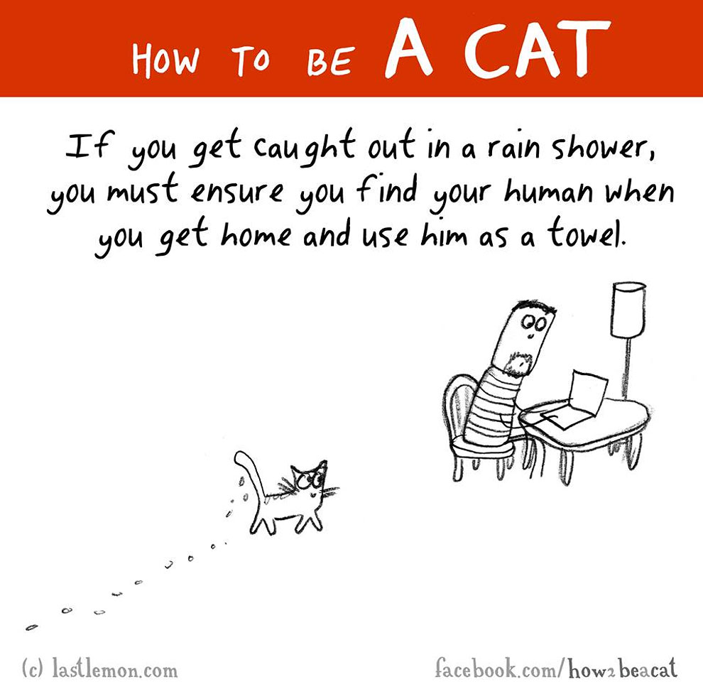 How To Be A Cat For Dummies » Design You Trust — Design Daily Since 2007