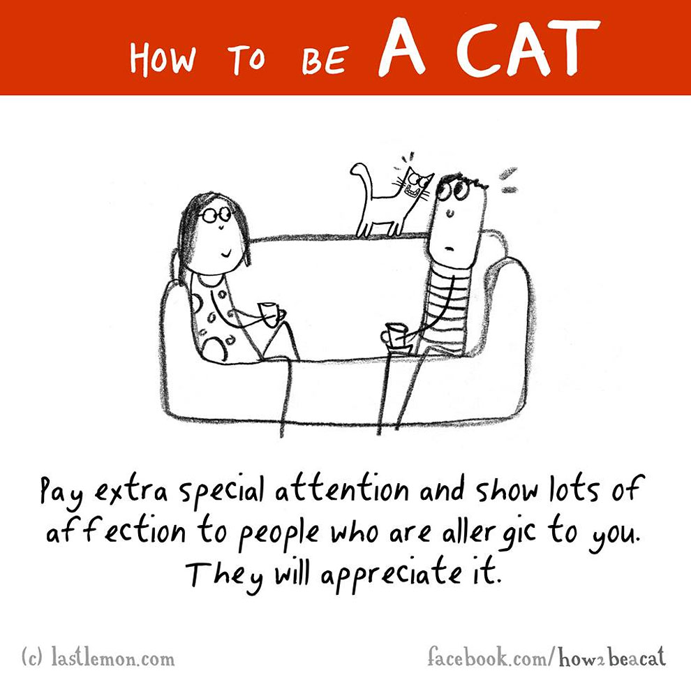How To Be A Cat For Dummies » Design You Trust — Design Daily Since 2007