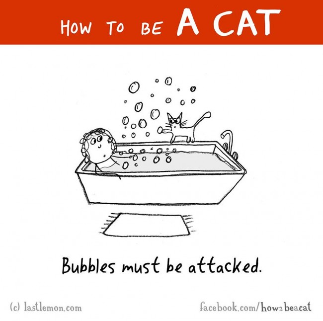 How To Be A Cat For Dummies » Design You Trust — Design Daily Since 2007