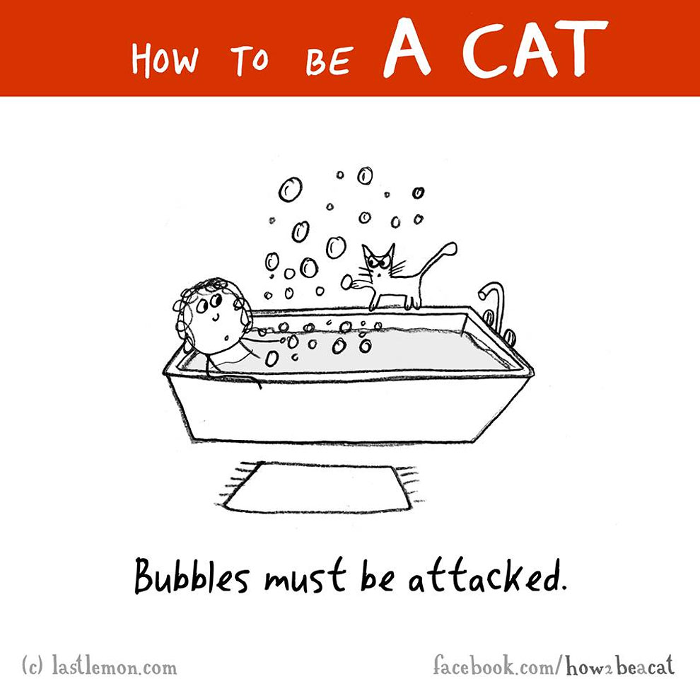 How To Be A Cat For Dummies » Design You Trust — Design Daily Since 2007