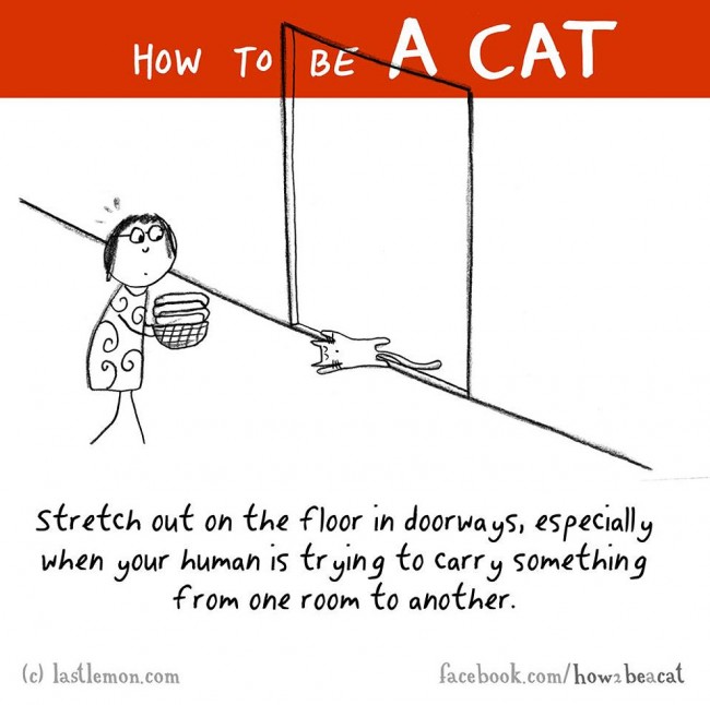 How To Be A Cat For Dummies » Design You Trust — Design Daily Since 2007