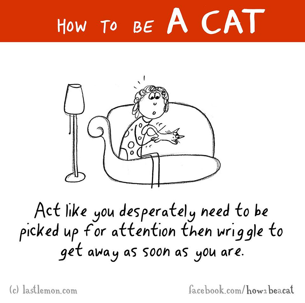 How To Be A Cat For Dummies » Design You Trust — Design Daily Since 2007