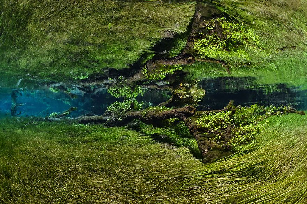 A Mermaid’s Perspective: Underwater Photos That Will Make You Question ...