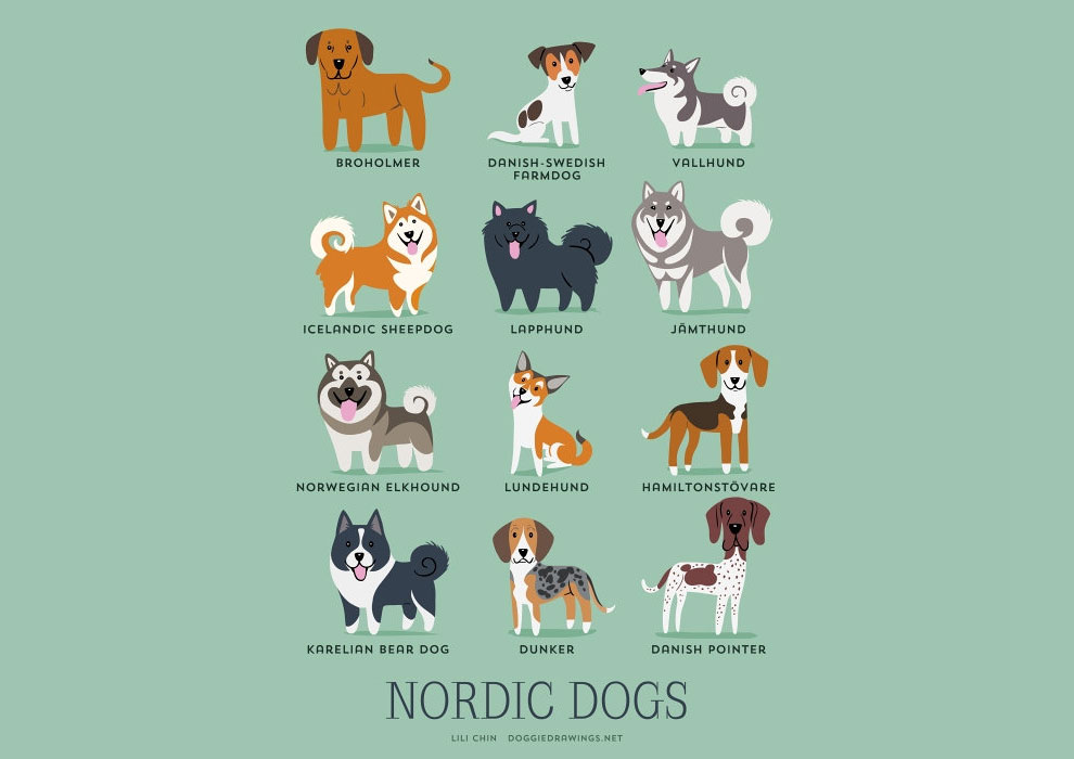 An Adorable Guide To The Dogs Of The World By Geographic Origin By ...