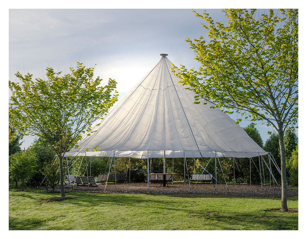 Man Spends Four Years Growing a Serene Church Made of Trees » Design ...