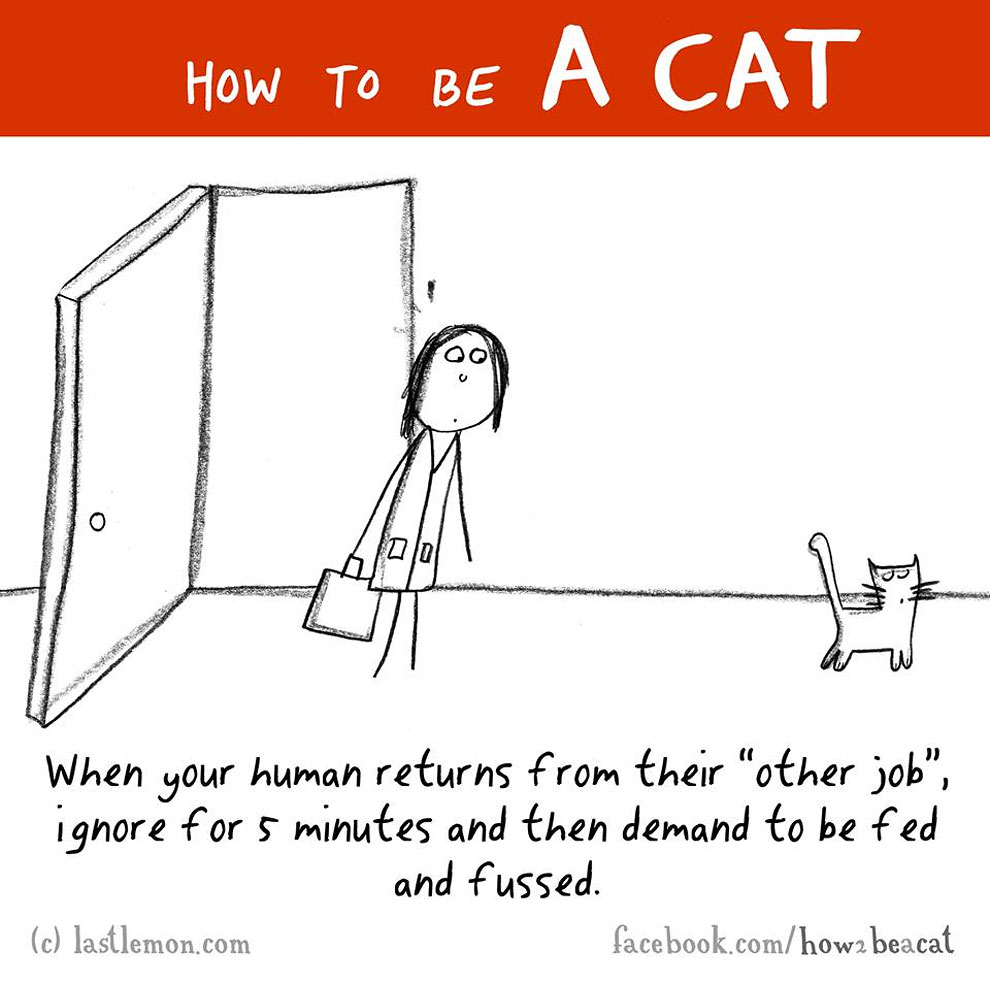 How To Be A Cat For Dummies » Design You Trust — Design Daily Since 2007