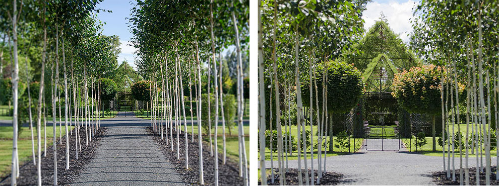 Man Spends Four Years Growing a Serene Church Made of Trees » Design ...