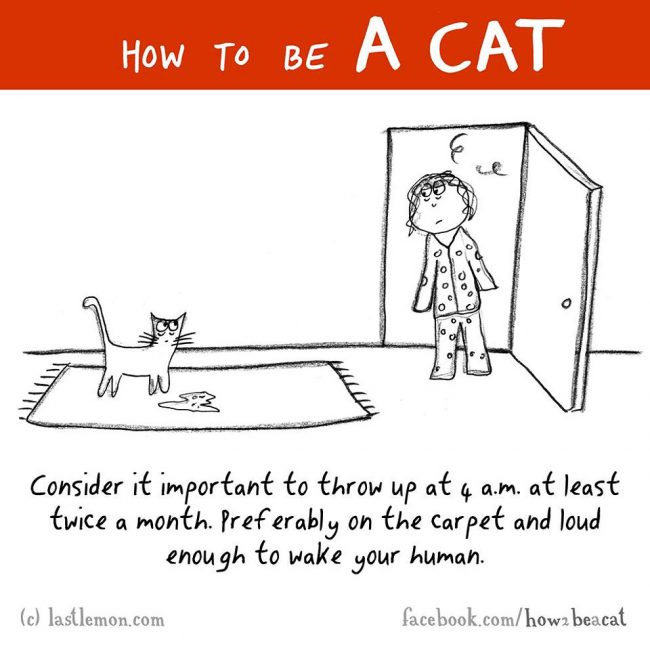 How To Be A Cat For Dummies » Design You Trust — Design Daily Since 2007