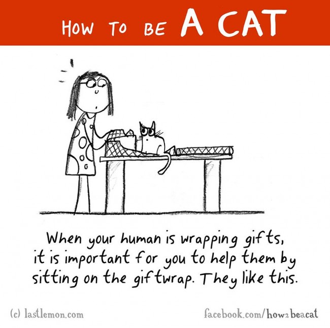How To Be A Cat For Dummies » Design You Trust — Design Daily Since 2007