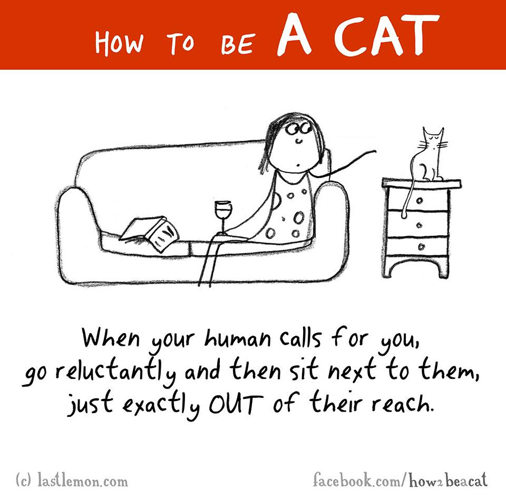 How To Be A Cat For Dummies » Design You Trust — Design Daily Since 2007