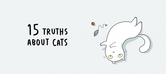 15 Illustrated Truths About Cats » Design You Trust — Design Daily ...