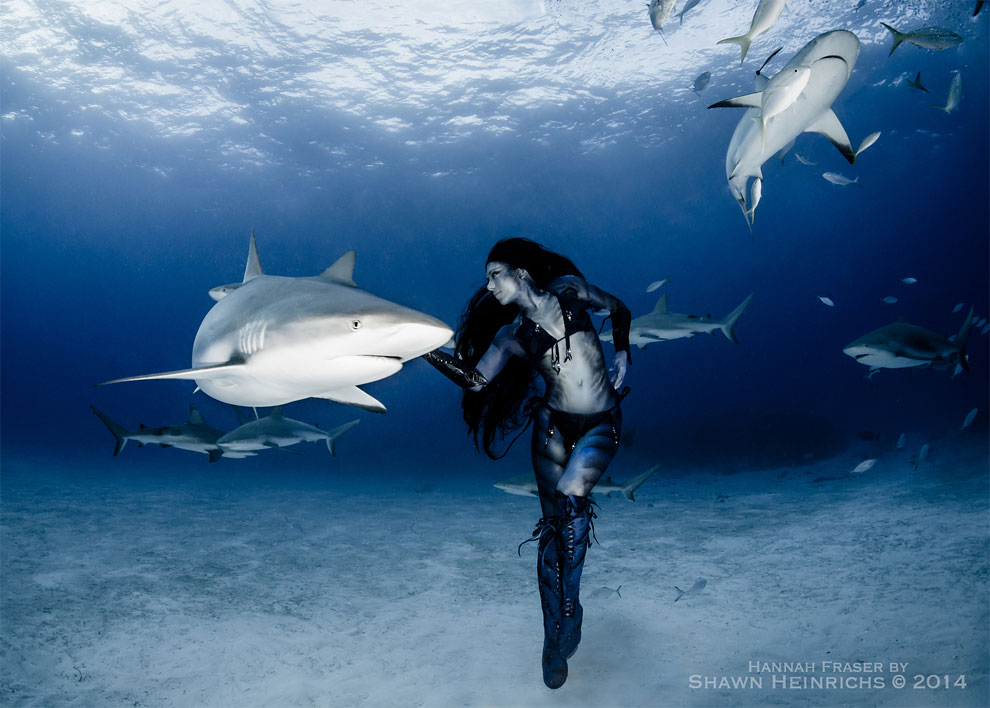 A Real-Life Mermaid Who Swims With Sharks Using Her Fish Tail And Holds ...