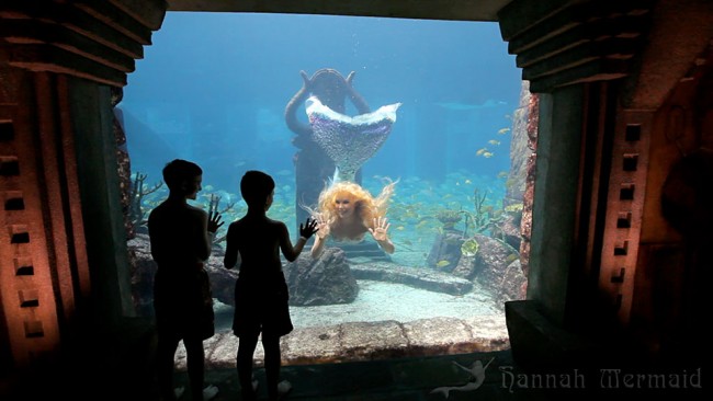 A Real-Life Mermaid Who Swims With Sharks Using Her Fish Tail And Holds ...
