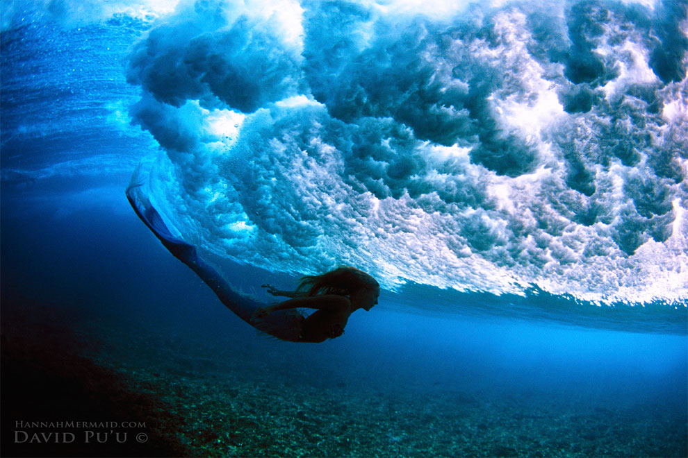 A Real-Life Mermaid Who Swims With Sharks Using Her Fish Tail And Holds ...