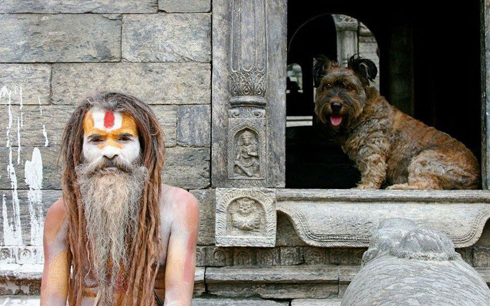 Oscar ‘The Traveller Dog’ Visits Most Famous Landmarks » Design You ...