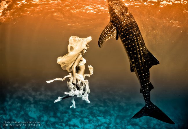 A Real-Life Mermaid Who Swims With Sharks Using Her Fish Tail And Holds ...