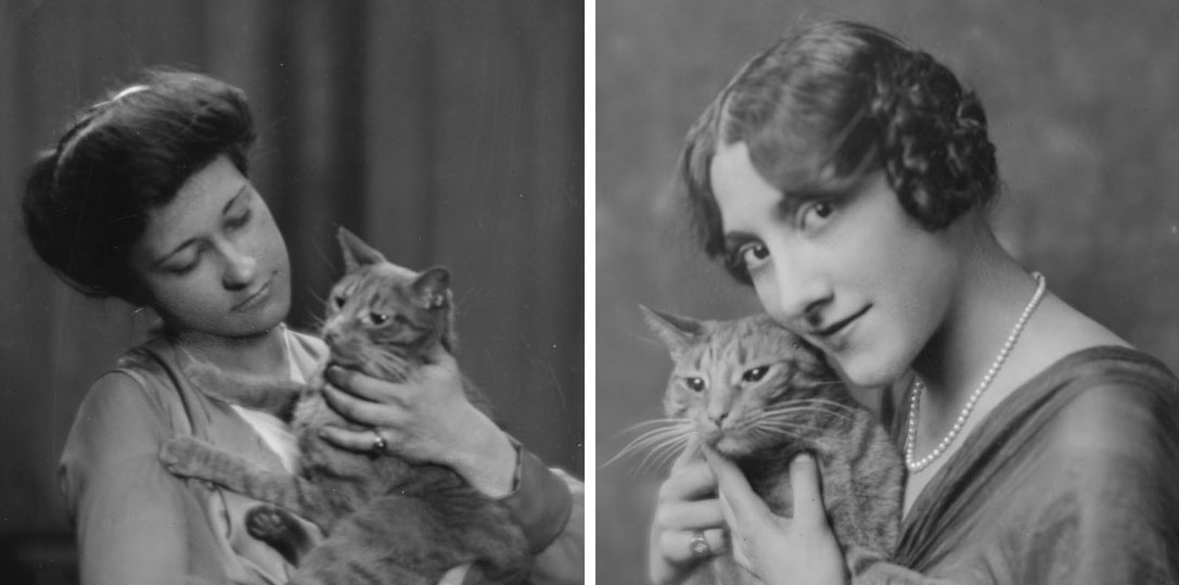 Early 1900s Portrait Studio Used Cuddly Cat As Adorable Prop » Design ...